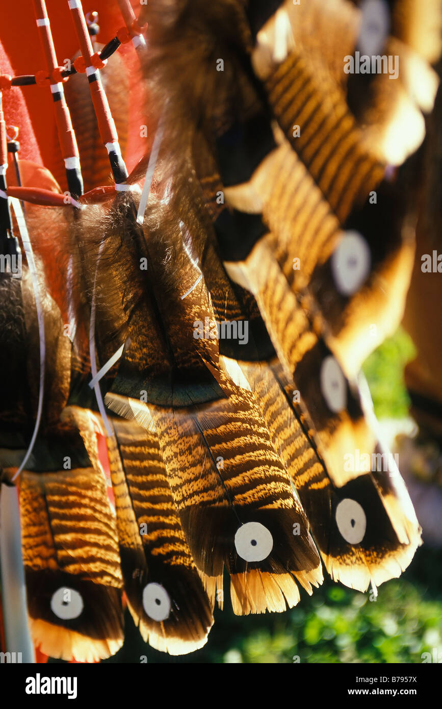 Native American Bustle High Resolution Stock Photography and Images - Alamy