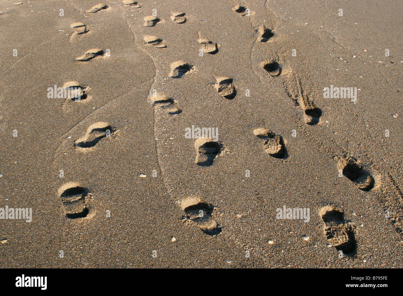 Footstep imprints hi-res stock photography and images - Alamy