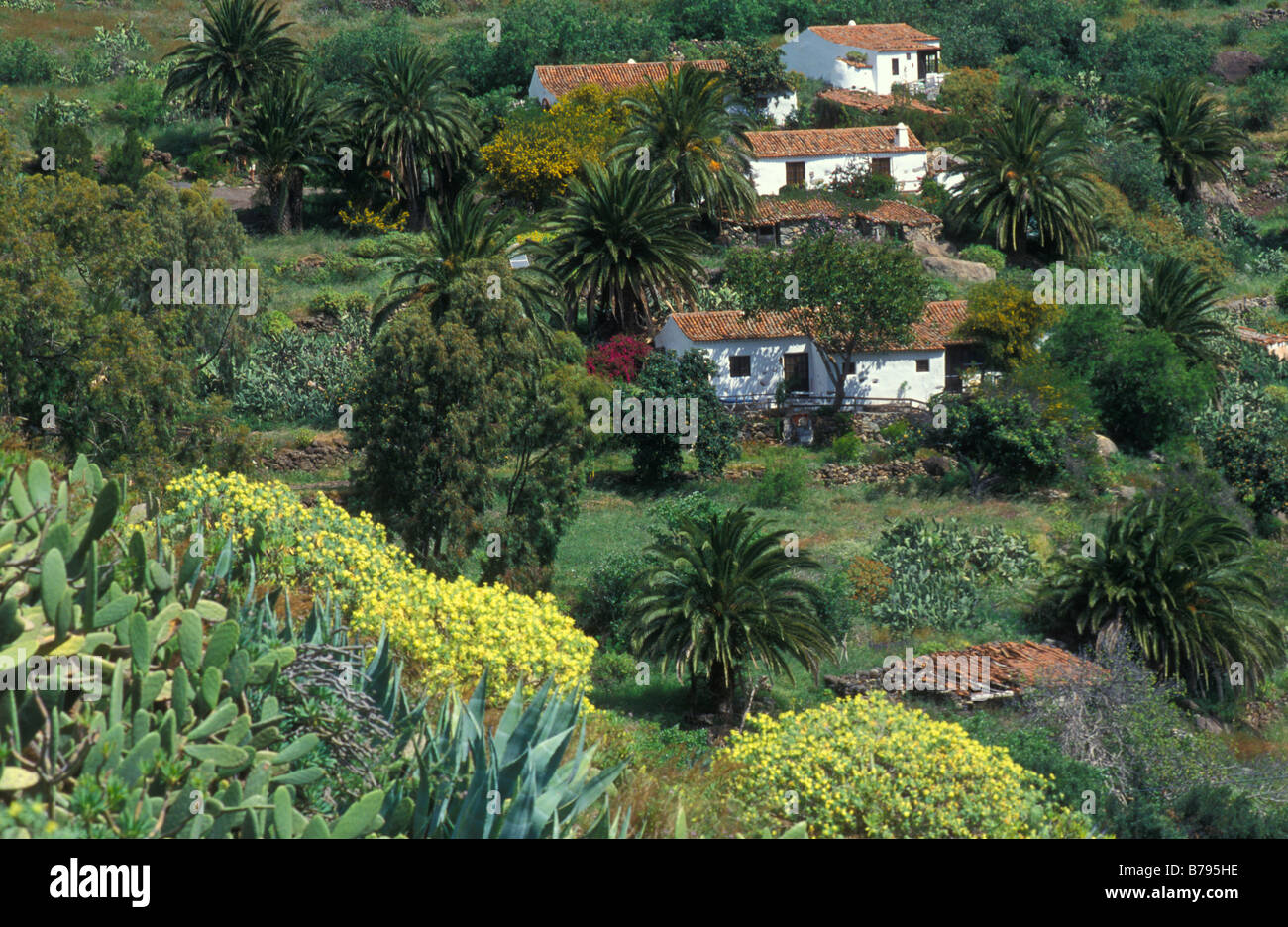 Benchijigua hi-res stock photography and images - Alamy
