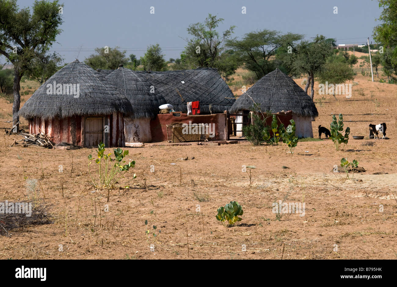 Rajasthan landscape hi-res stock photography and images - Alamy