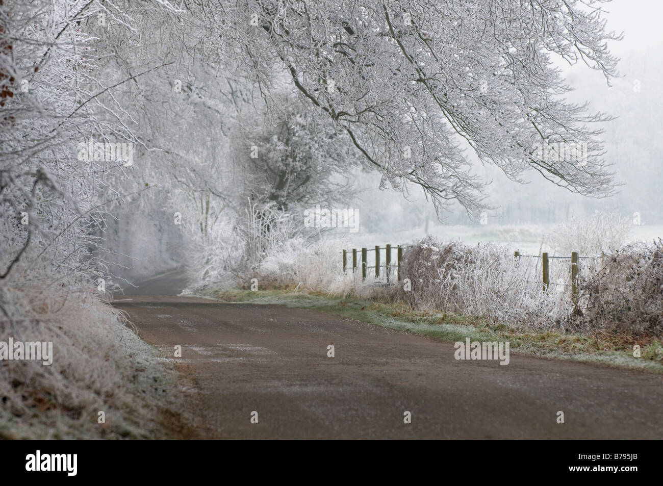 Frosted fence line hi-res stock photography and images - Alamy
