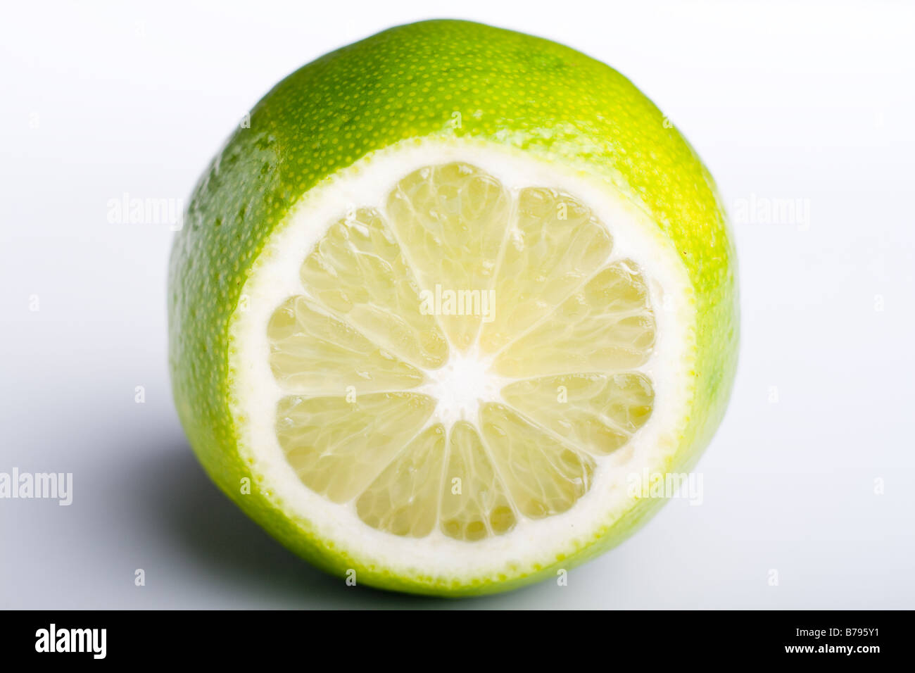 Single lime with end cut off Stock Photo - Alamy