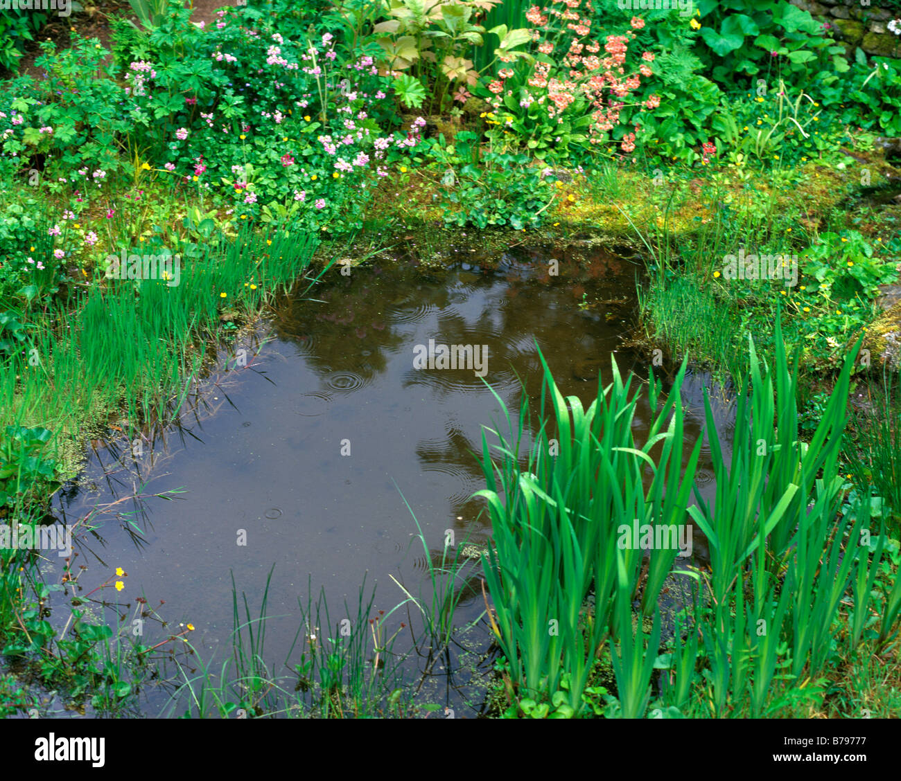 Clay lined pond hi-res stock photography and images - Alamy