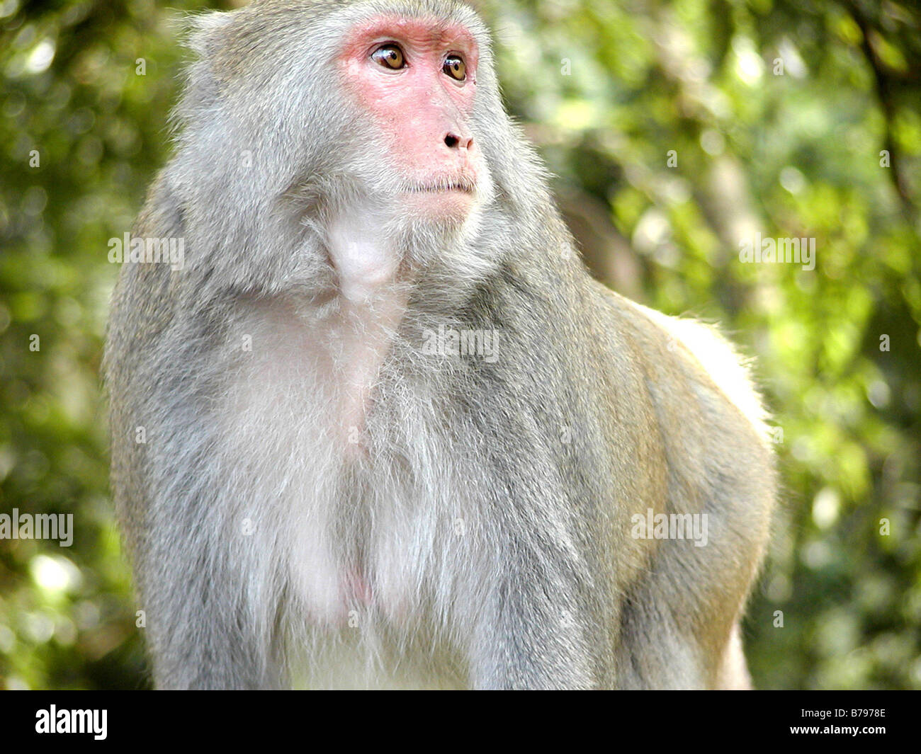 Tainan county hi-res stock photography and images - Alamy