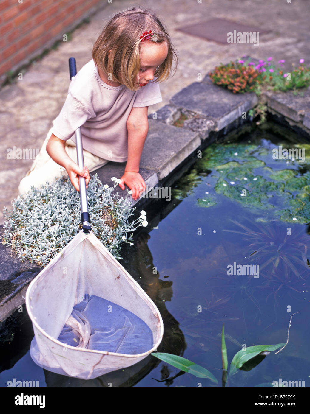 POND DIPPING LOOKING FOR POND CREATURES Stock Photo - Alamy