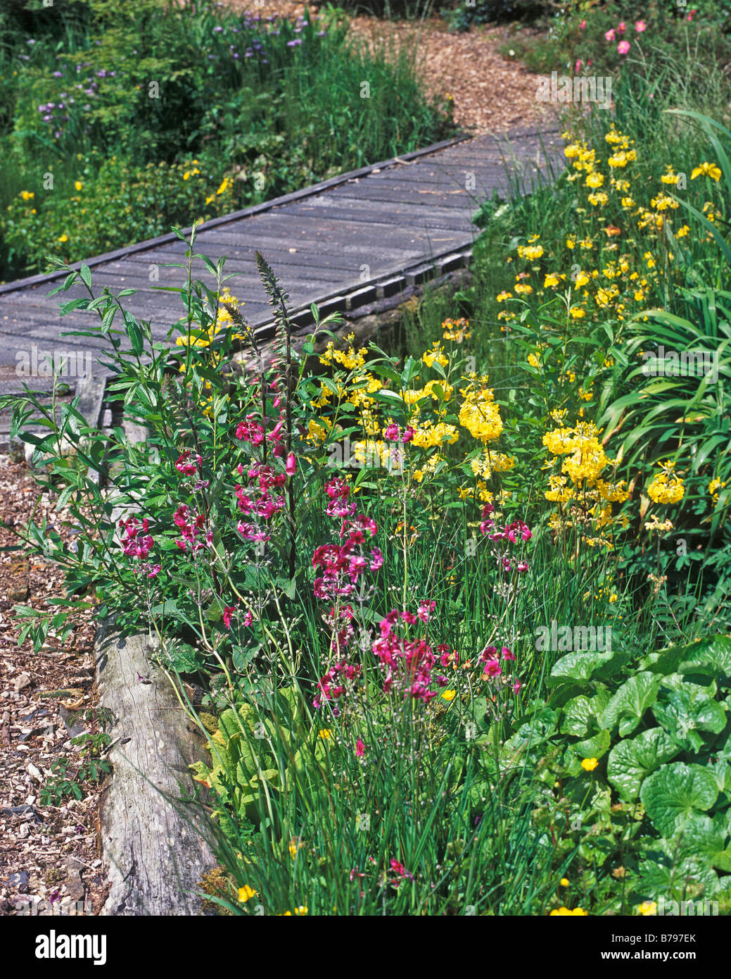 Established plants hi-res stock photography and images - Alamy