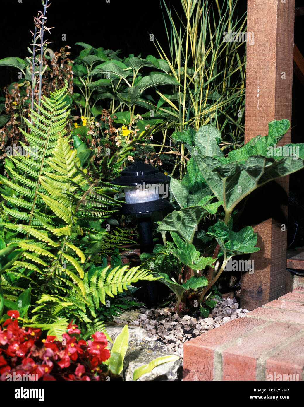 Plants highlight hi-res stock photography and images - Alamy