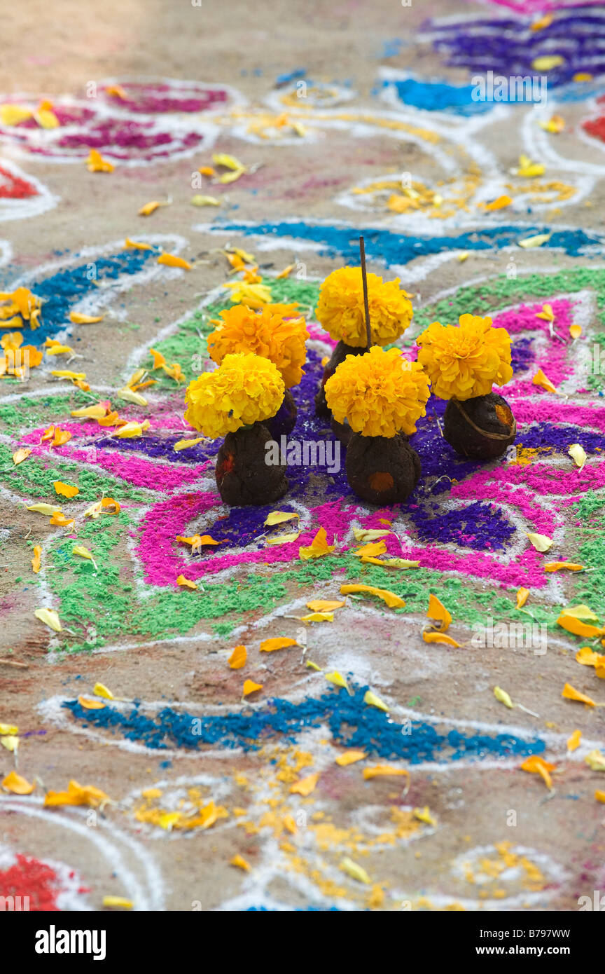 Sankranti cow hi-res stock photography and images - Alamy