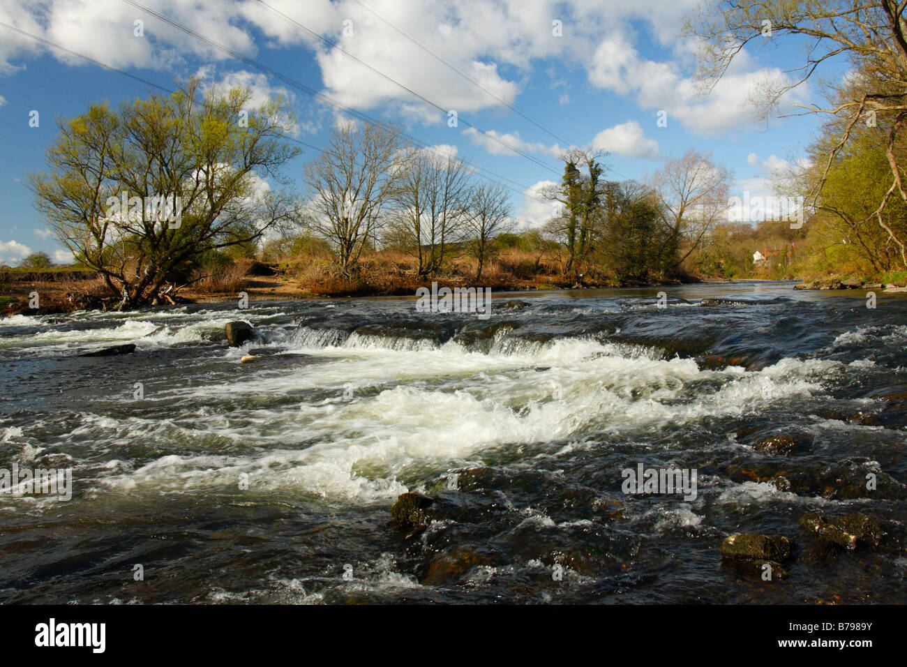 The River Taff at Radyr on the outskirts of Cardiff in Spring, South ...
