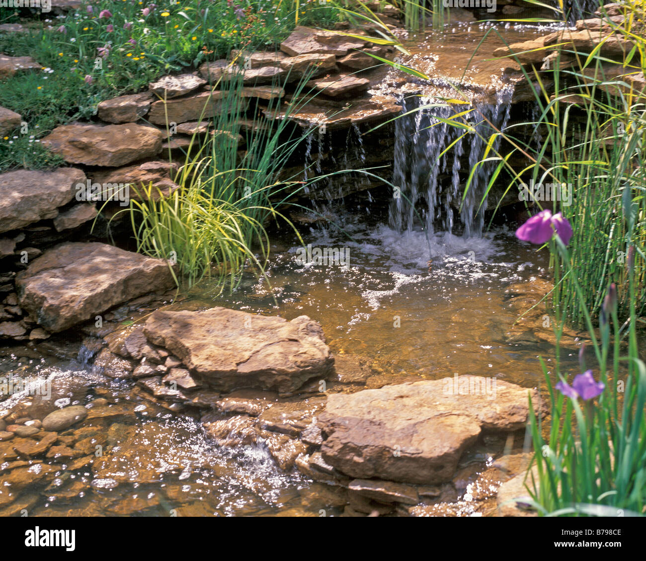 A SET OF NATURAL STONE STEPPING STONES ACROSS STREAM Stock Photo - Alamy