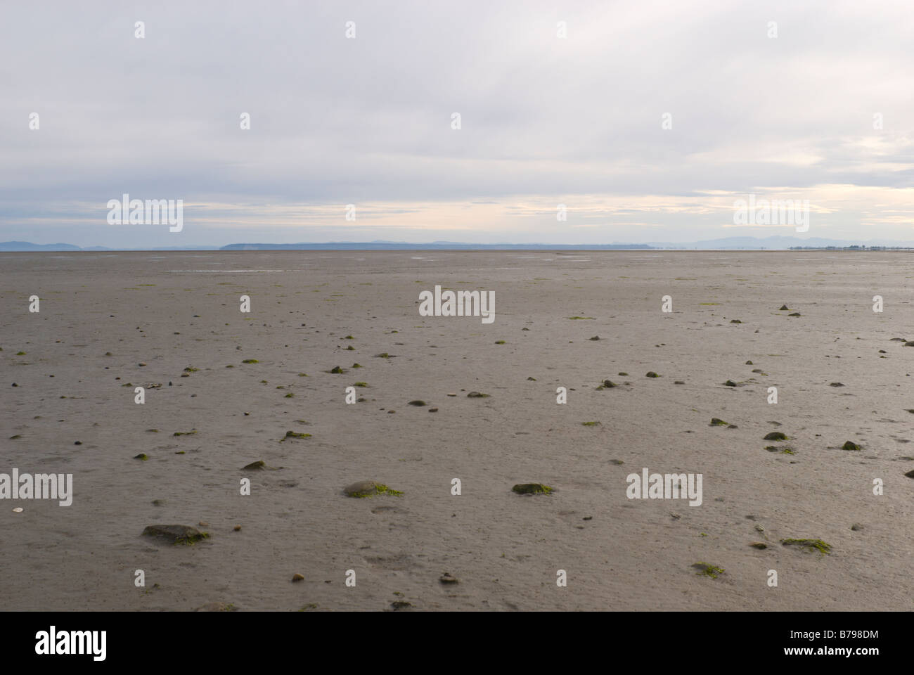 Mud Bay at low tide, Surrey British Columbia, Canada Stock Photo - Alamy