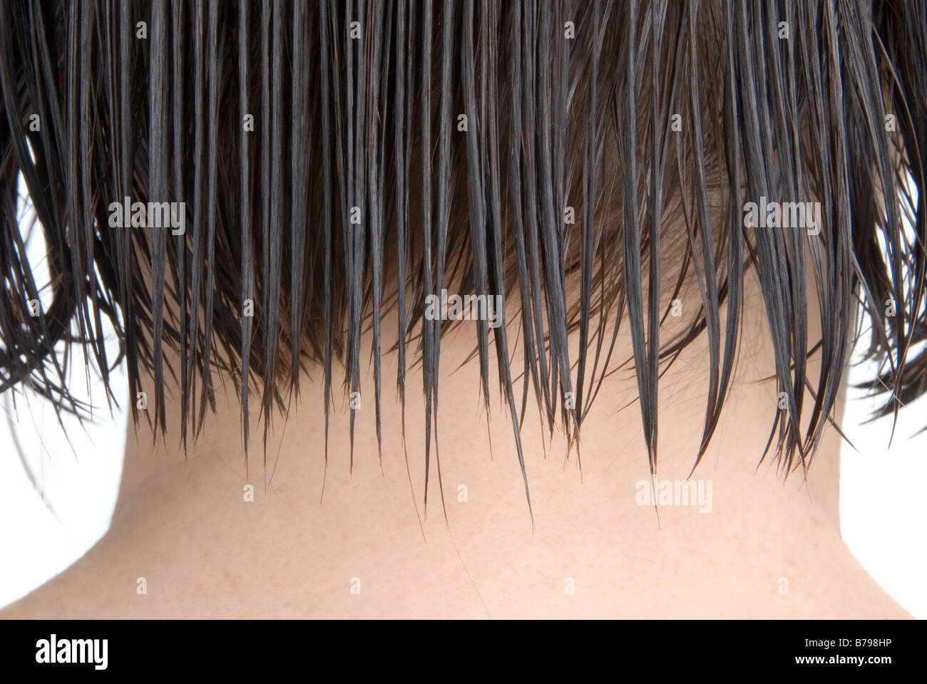 The back of a woman s head just after coming her washed hair Stock ...