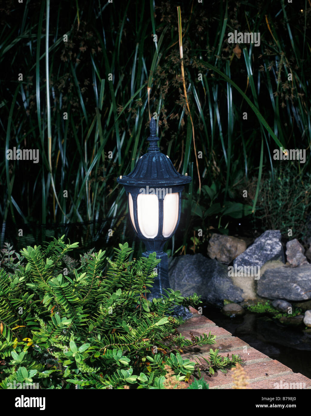 POND LIGHTS SHOW UP THE BEST POND FEATURES AT NIGHT Stock Photo - Alamy