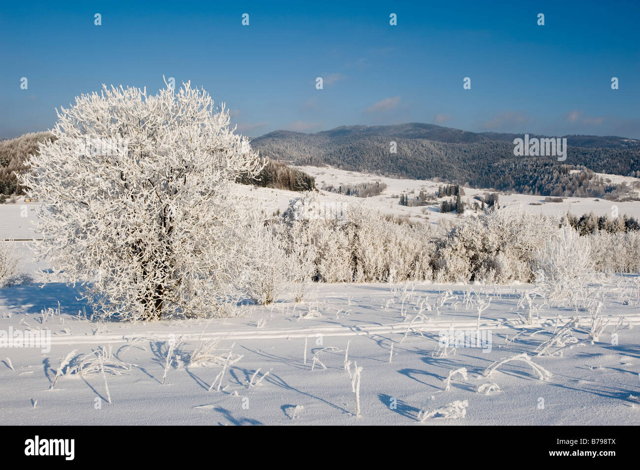 Poland landscape hi-res stock photography and images - Alamy