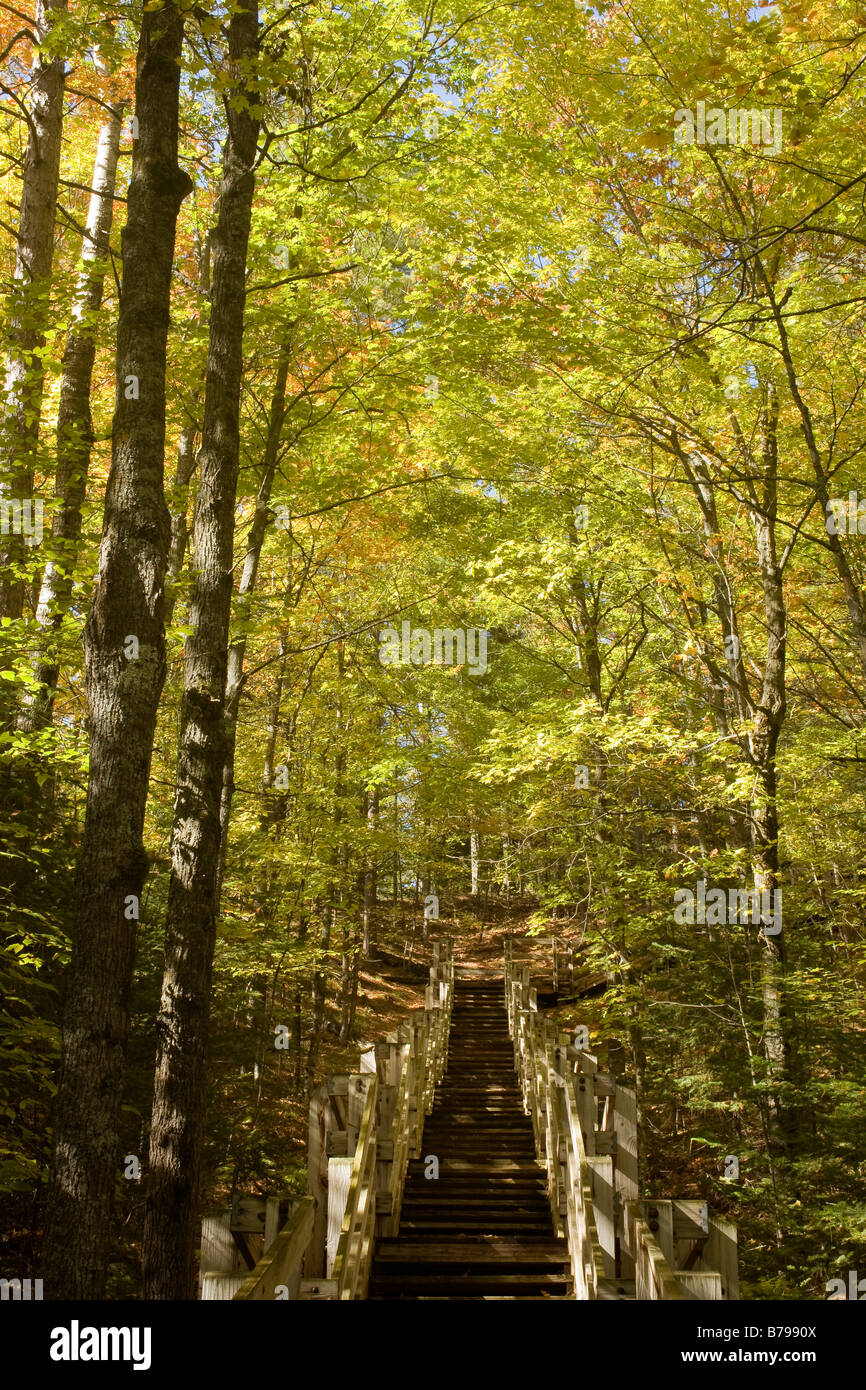 WISCONSIN - Trail to the Observation Tower in Copper Falls State Park ...