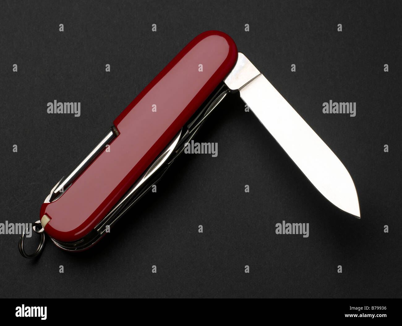 Swiss Army Knife Definition at Lewis Wooley blog