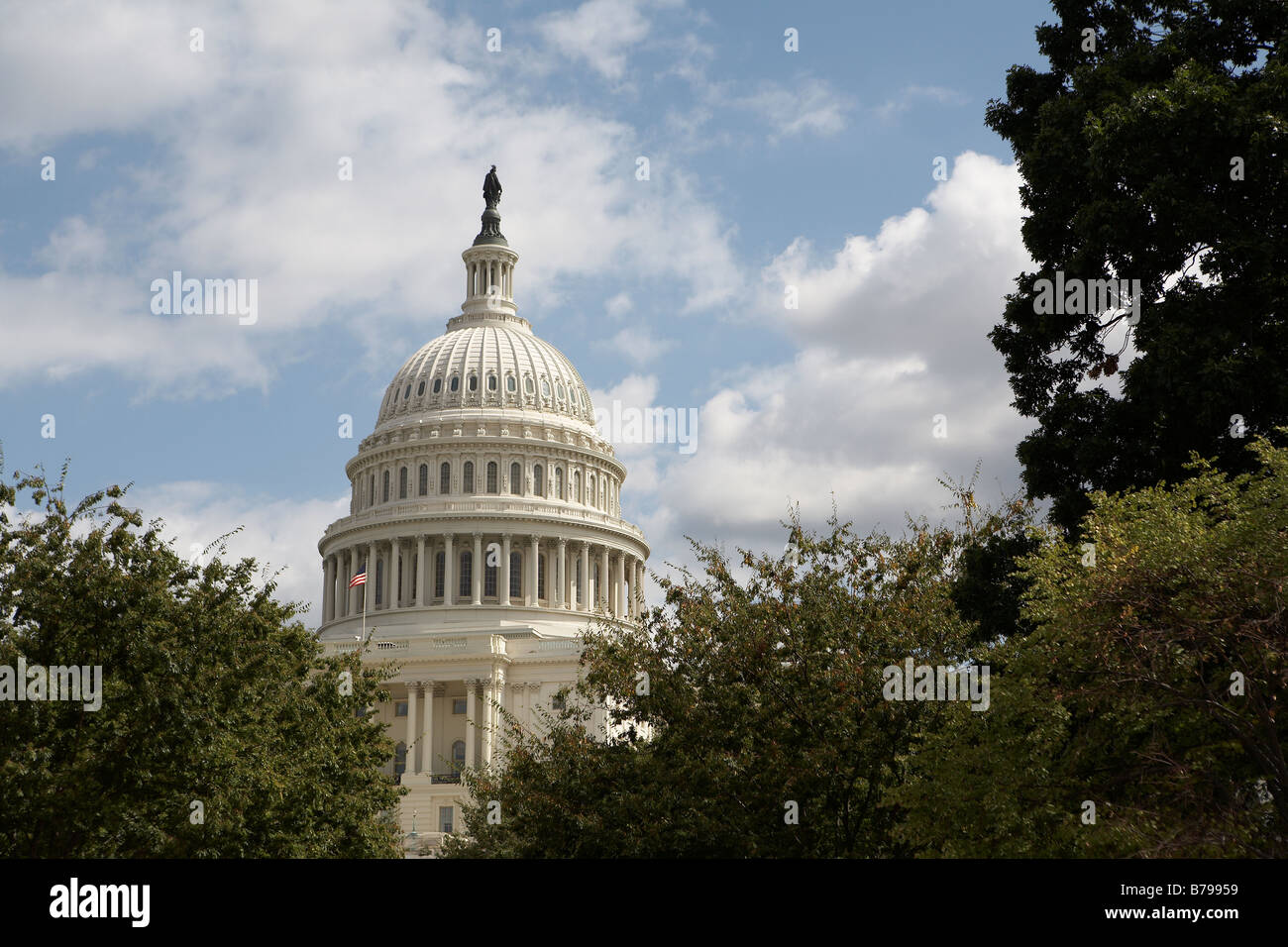 Capital building Dome Washington DC U.S.A Stock Photo - Alamy