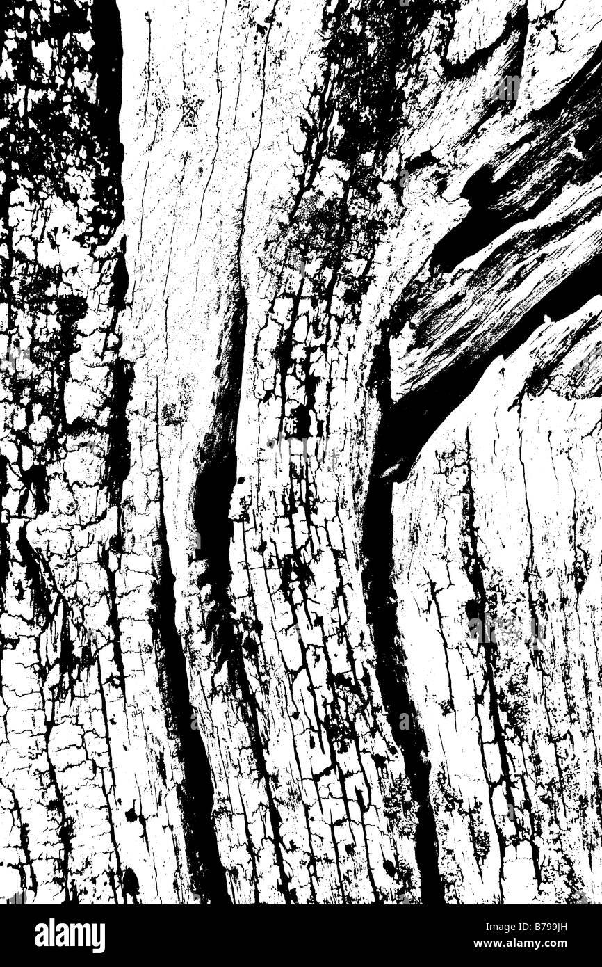 Old grainy sea wood Stock Photo - Alamy