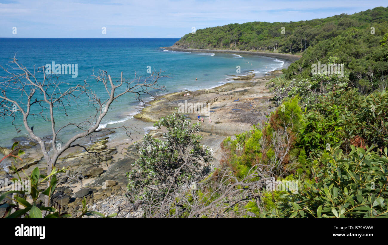 Tea Tree Bay, Noosa National Park, Australia Stock Photo - Alamy