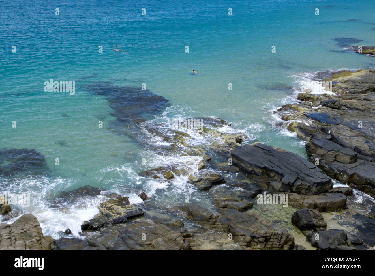Tea tree bay noosa hi-res stock photography and images - Alamy