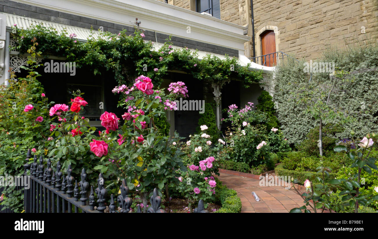 Rose garden, East Melbourne, Melbourne, Australia Stock Photo - Alamy