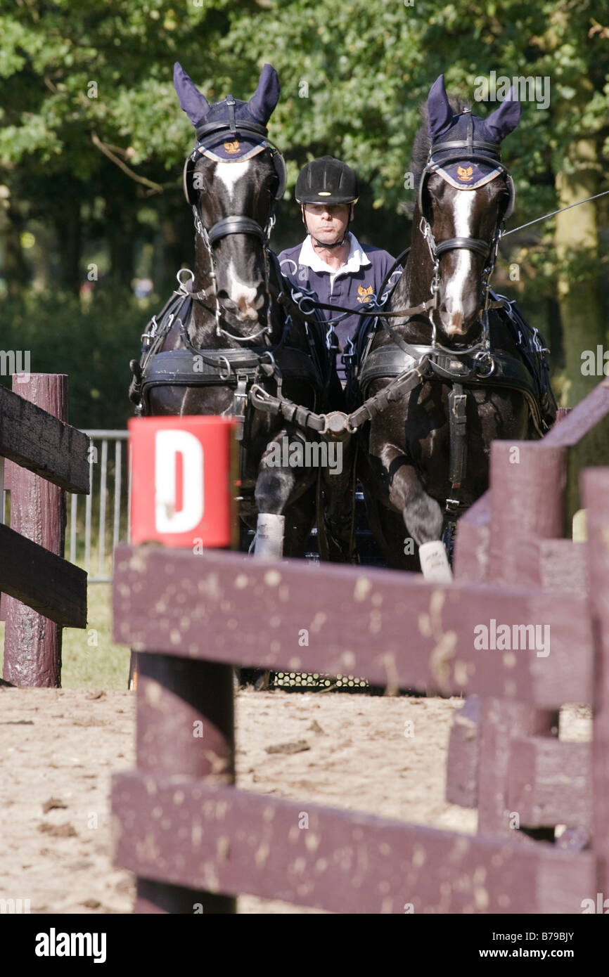 Mark Broadbent competing in the horse pairs national championship ...