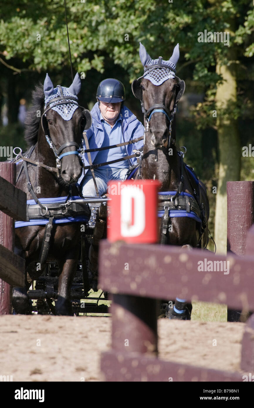 John Pickford competing in the horse pairs national championship ...