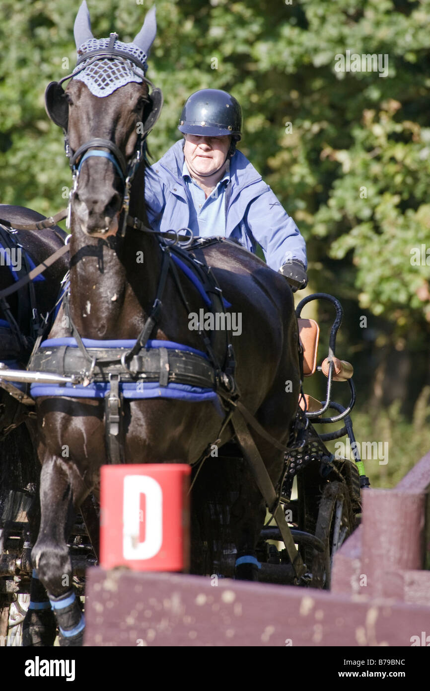 John Pickford competing in the horse pairs national championship ...