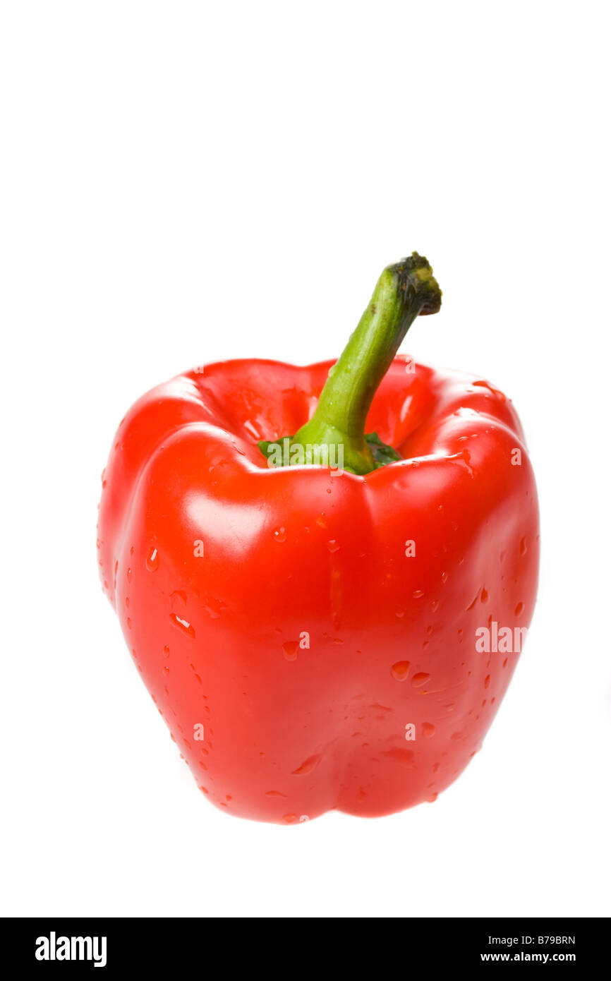 single red bell pepper isolated on white Stock Photo - Alamy