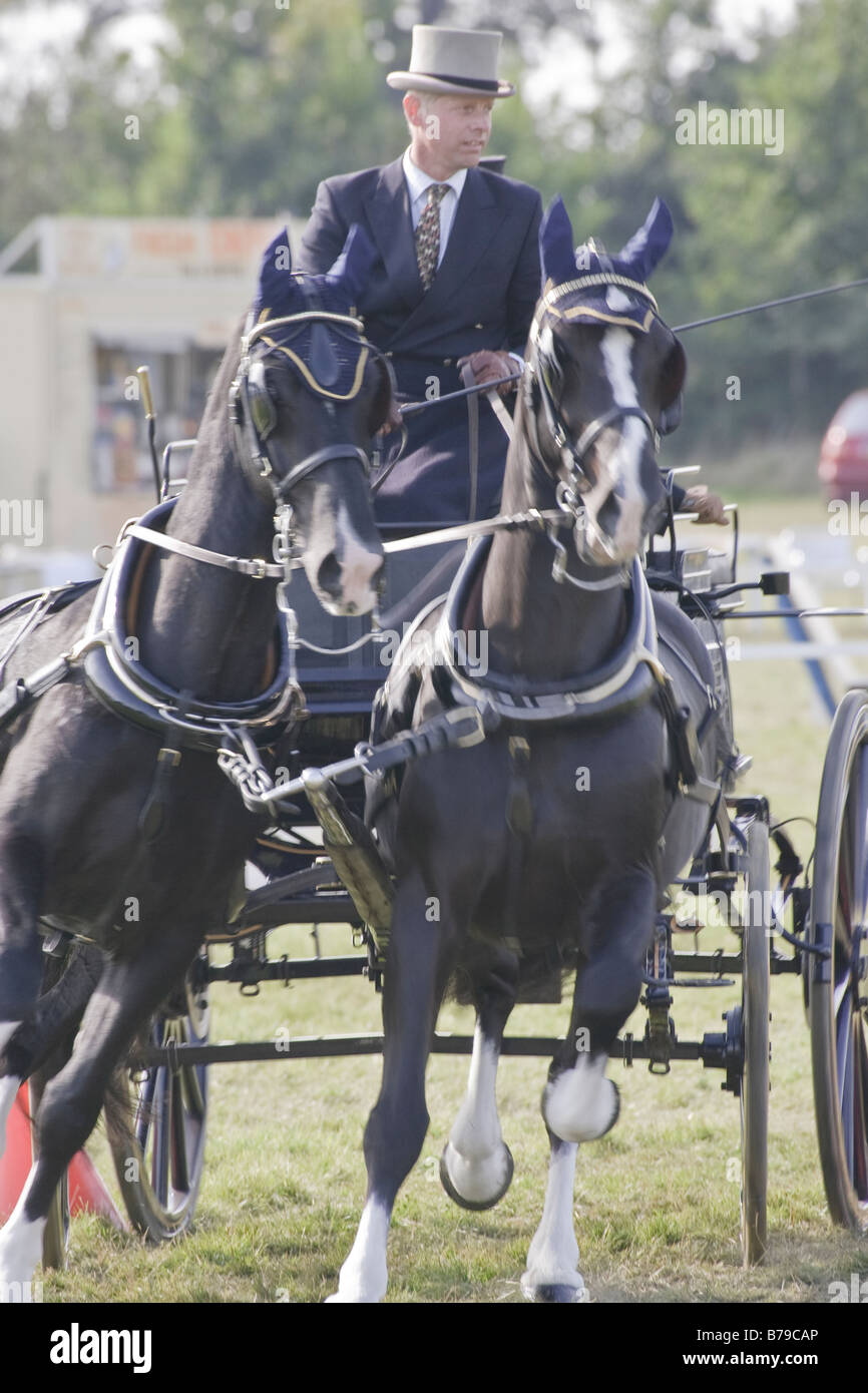 Mark Broadbent competing in the Horse Pairs National Championships ...