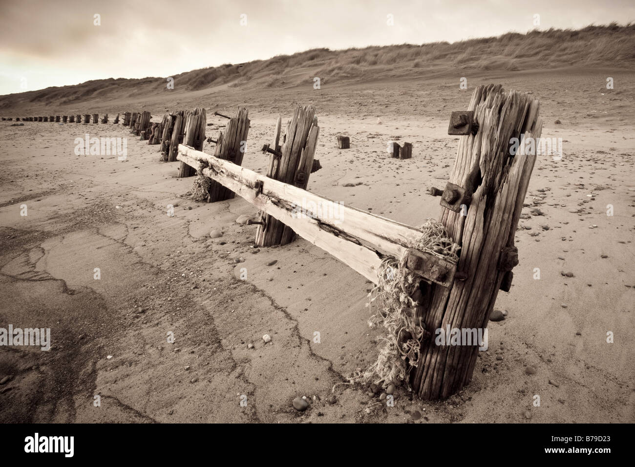 Groynes, Spurn Head, East Yorkshire Stock Photo - Alamy