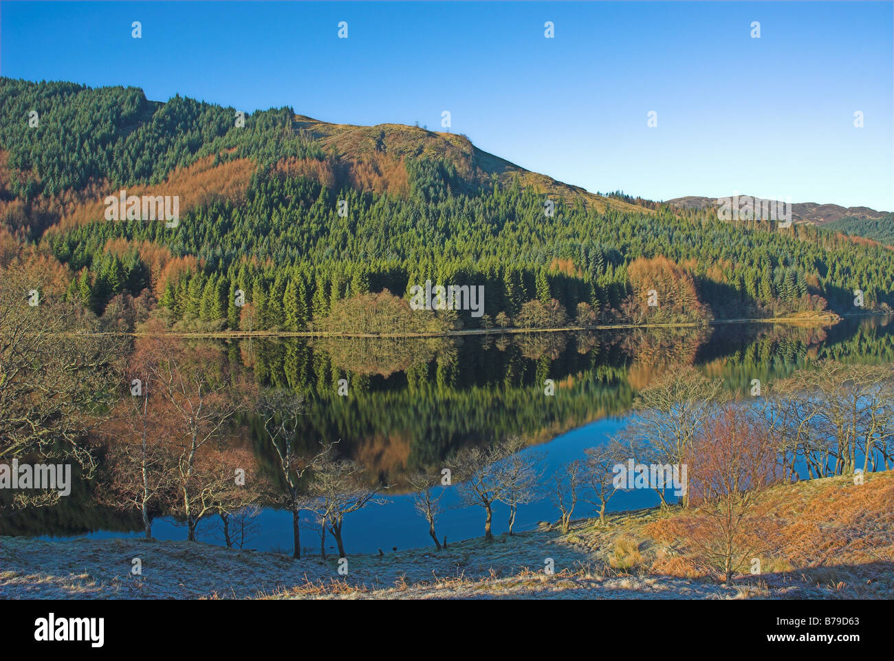 Stirling scotland climate hi-res stock photography and images - Alamy
