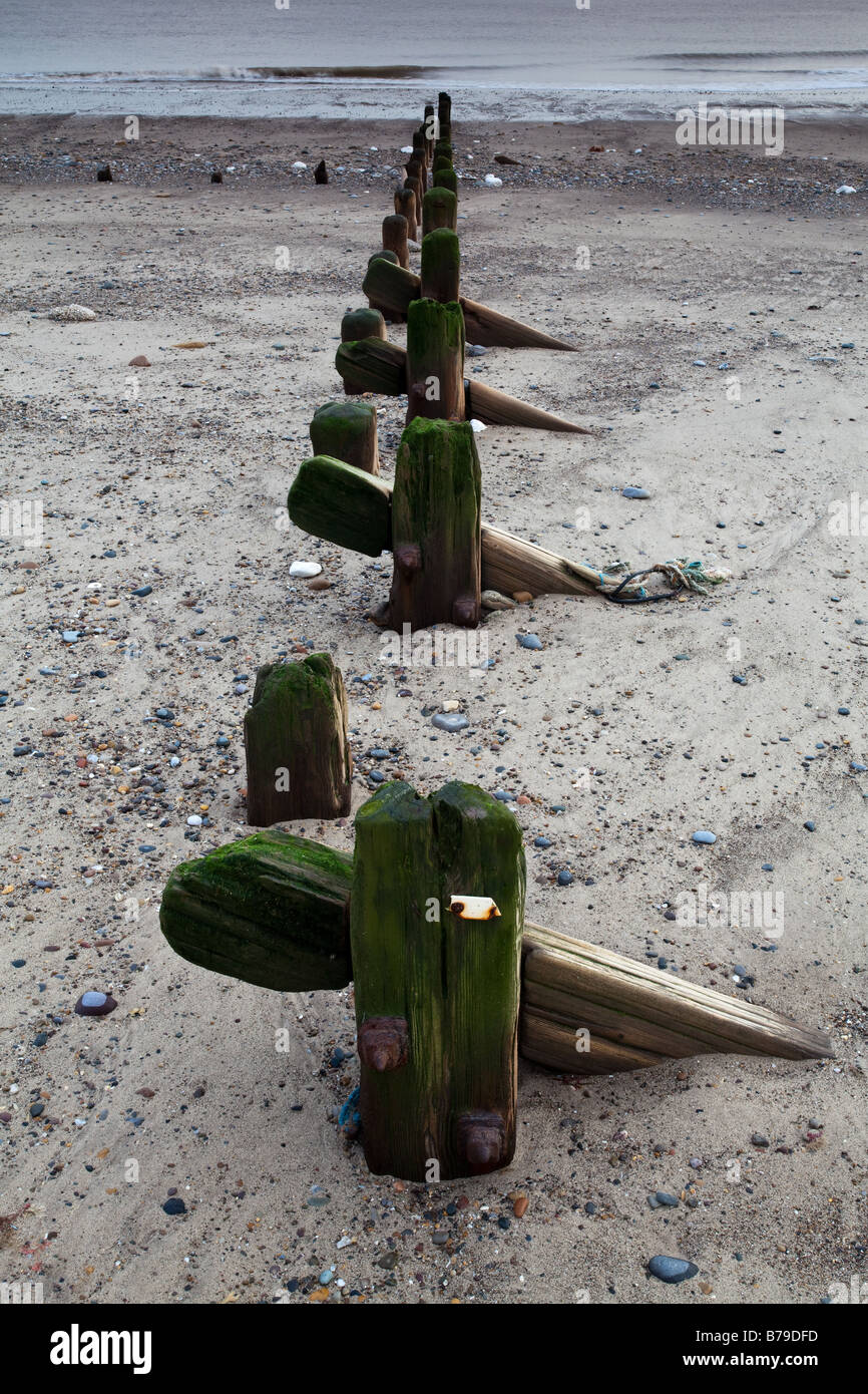 Groynes, Spurn Head, East Yorkshire Stock Photo - Alamy