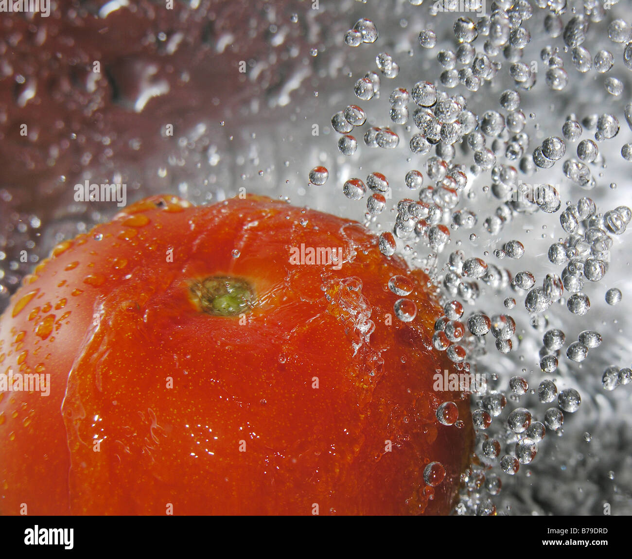 Freshly washed tomato Stock Photo - Alamy