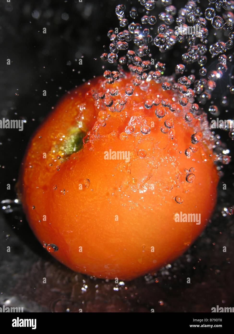 Freshly washed tomato Stock Photo - Alamy