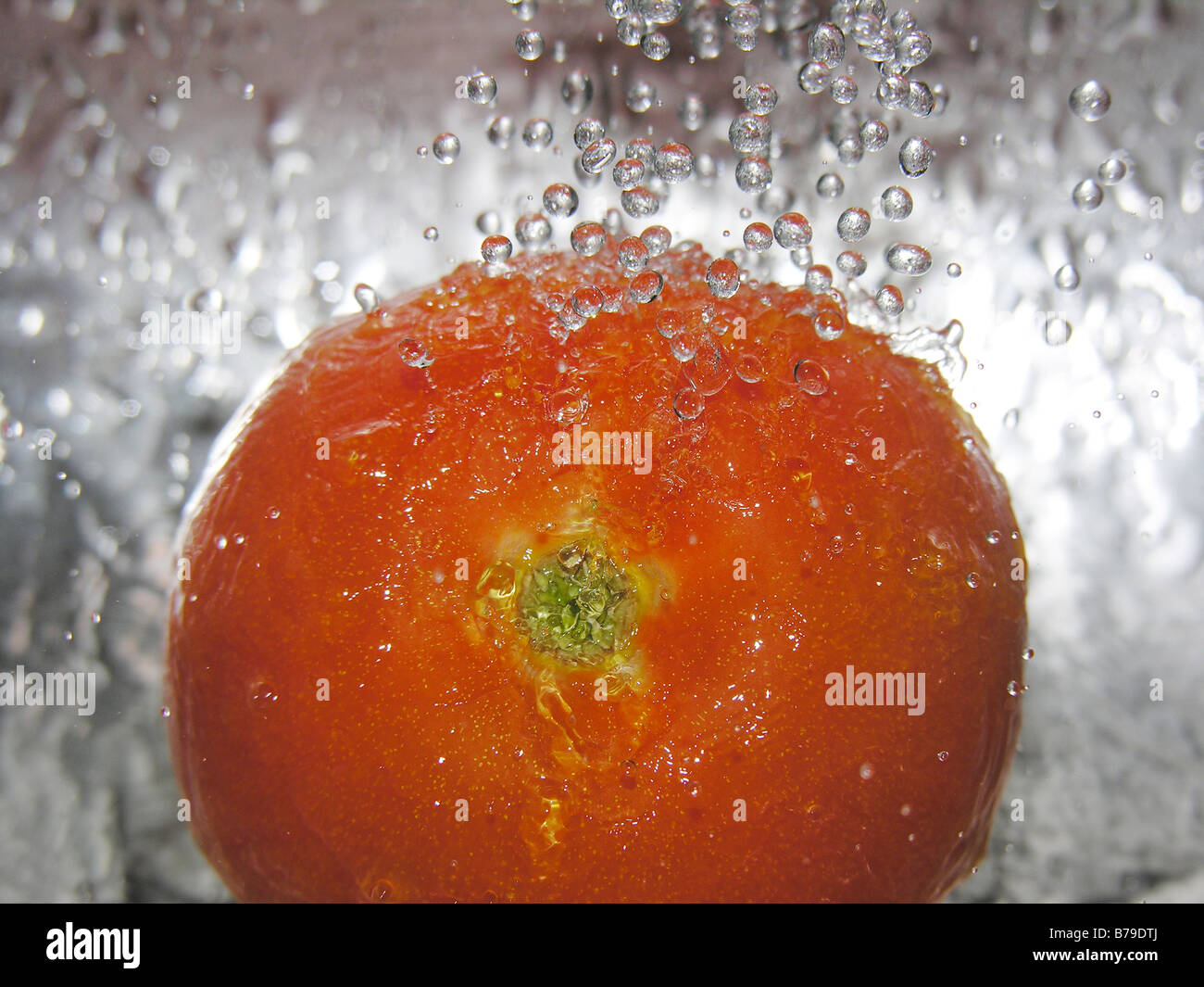 Freshly washed tomato Stock Photo - Alamy