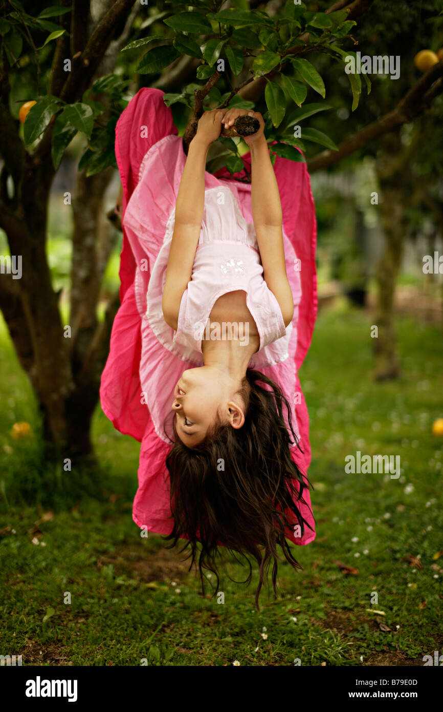 Upside Down Tree High Resolution Stock Photography and Images - Alamy