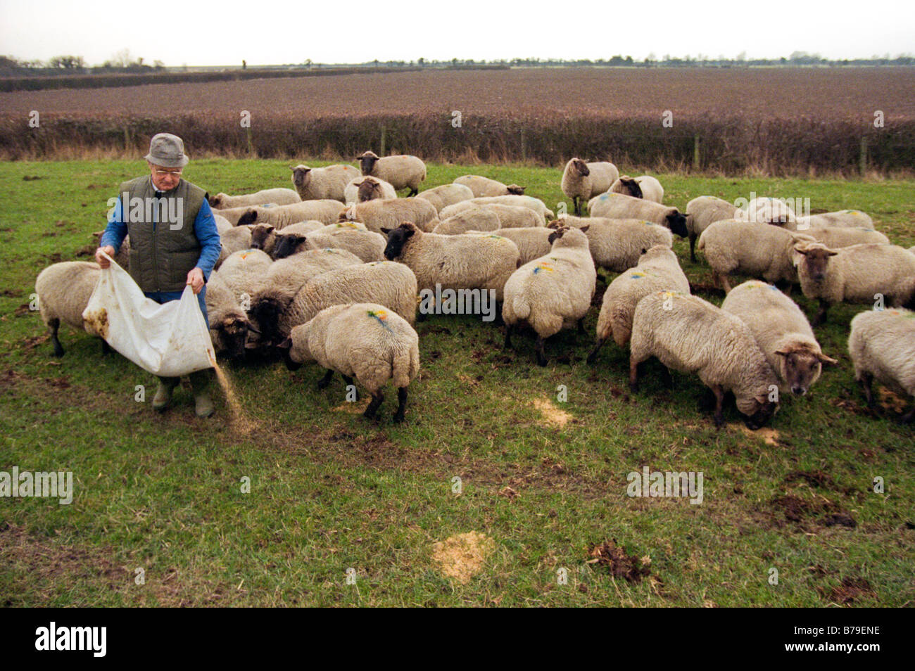 Occupation levels hi-res stock photography and images - Alamy