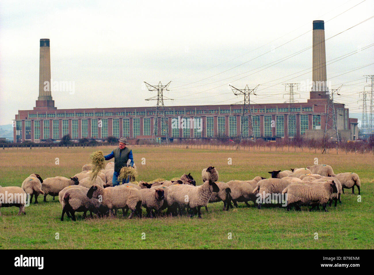 Sheep station occupation hi-res stock photography and images - Alamy