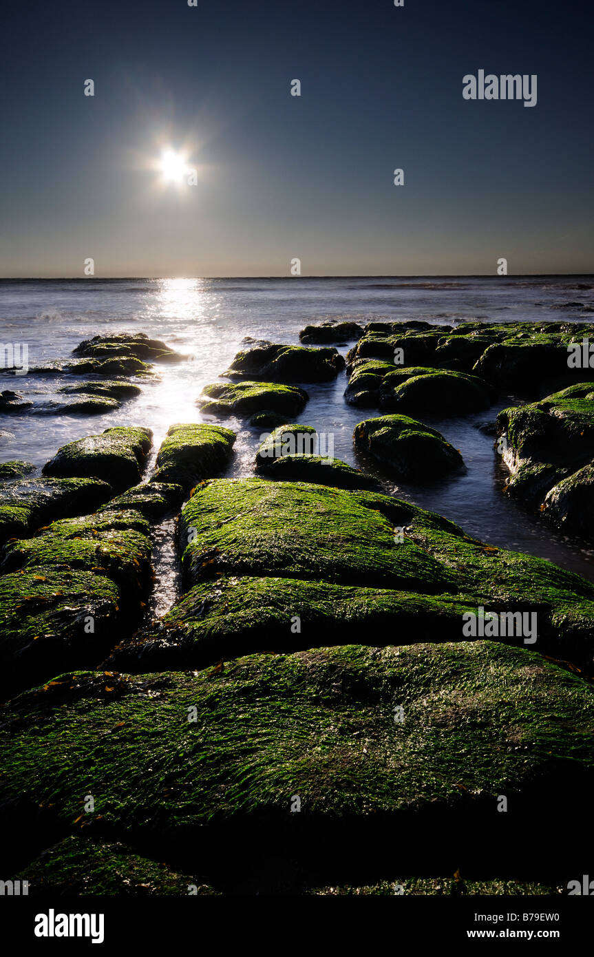 Rock pools exmouth beach devon hi-res stock photography and images - Alamy