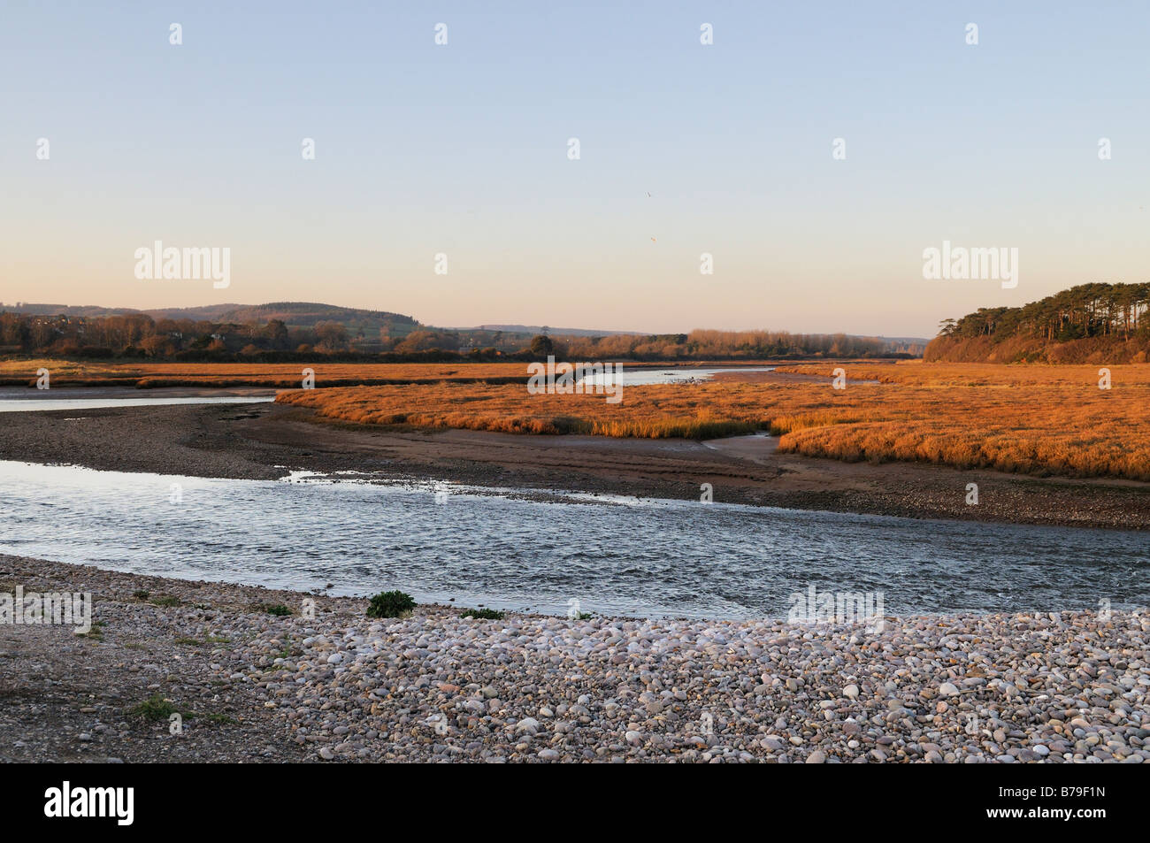 River Otter Estuary, Budleigh Salterton, Devon Stock Photo - Alamy