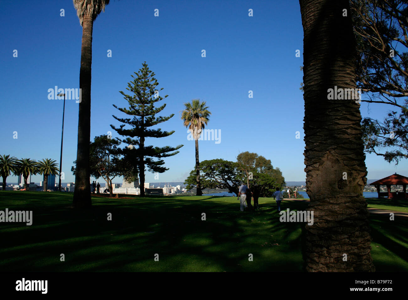 Kings park, Perth WA Stock Photo - Alamy