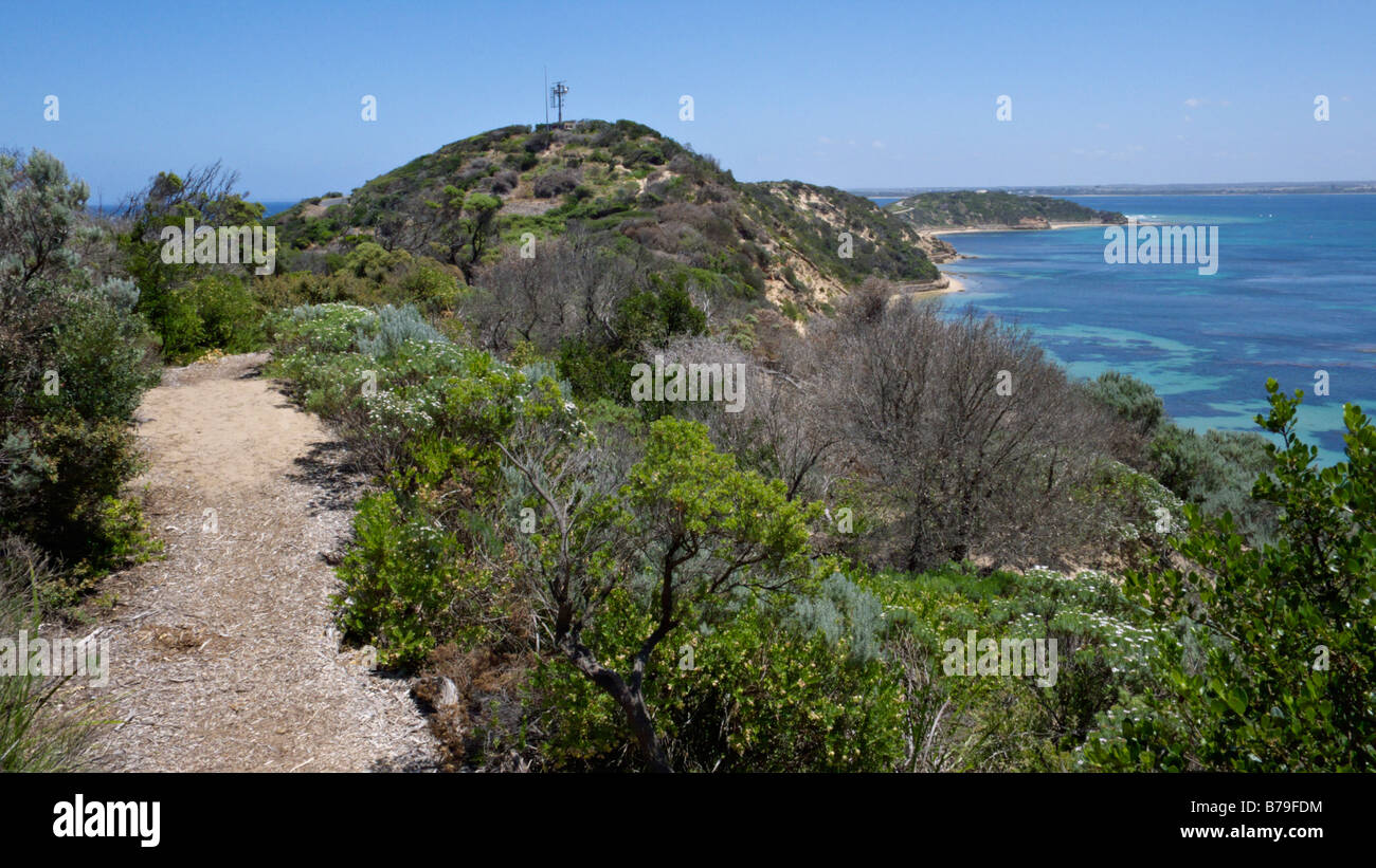 Point nepean national park australia hi-res stock photography and ...
