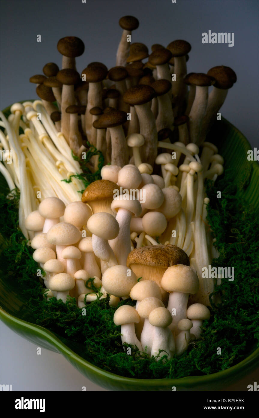 A platter of mushrooms Stock Photo - Alamy