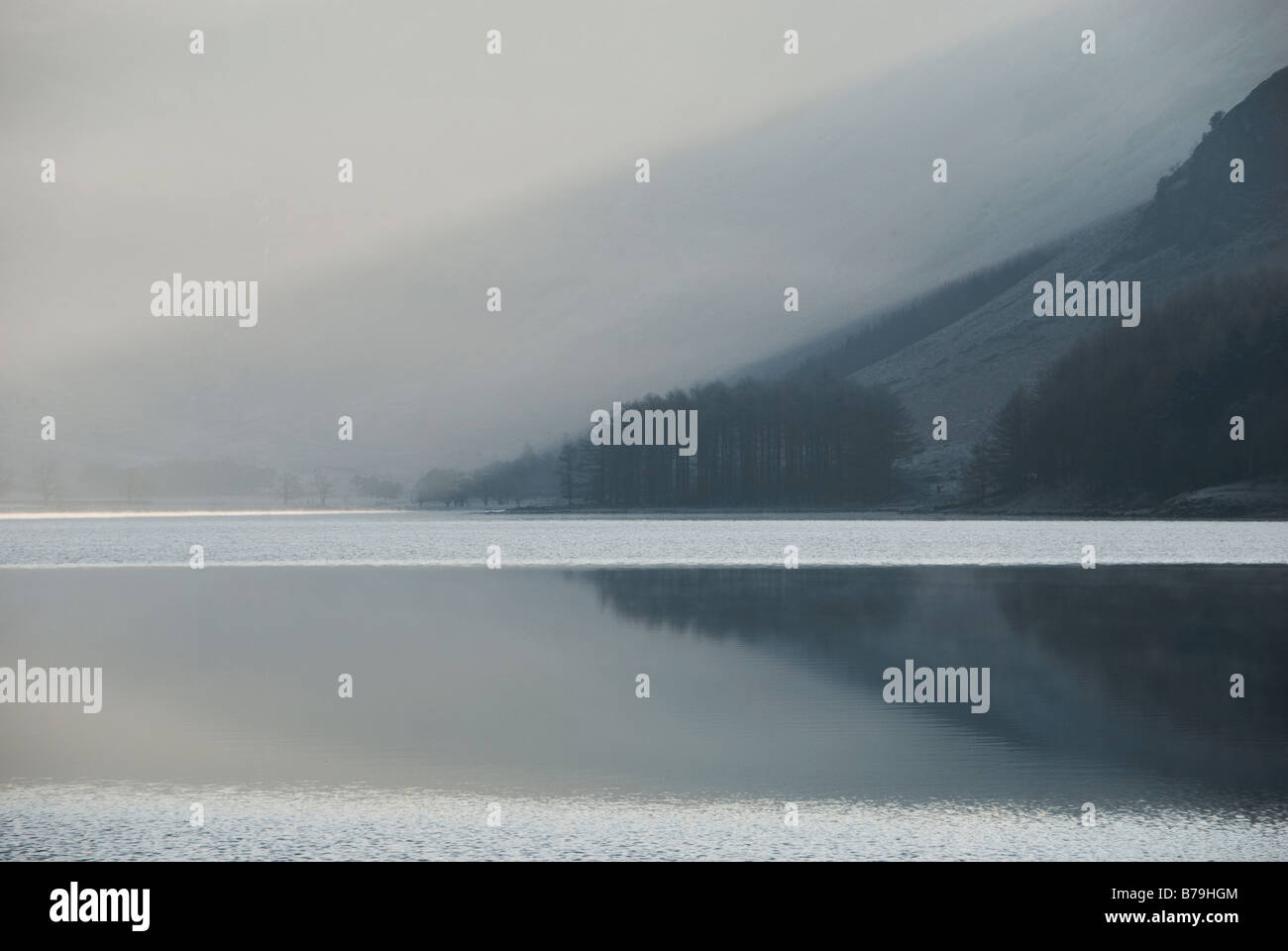 Burtness Wood, Buttermere Stock Photo - Alamy