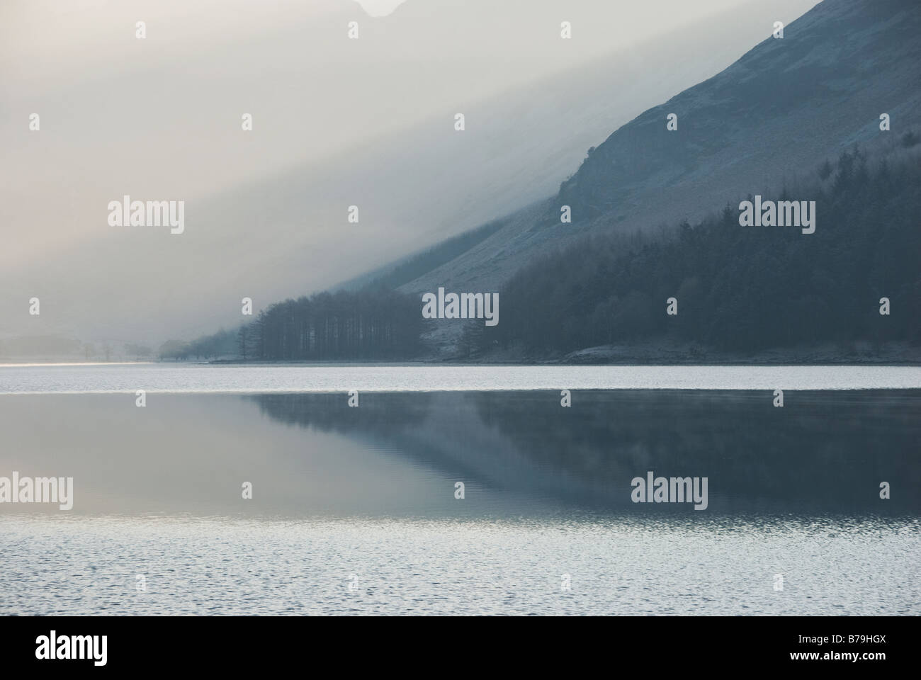 Burtness Wood, Buttermere Stock Photo - Alamy