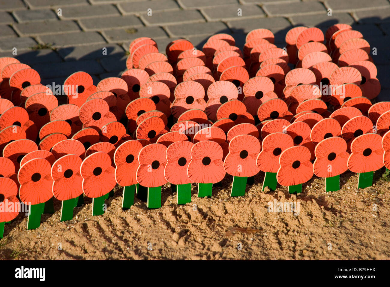 My Remembrance Day Poppy Garden Memorial at the National Memorial ...