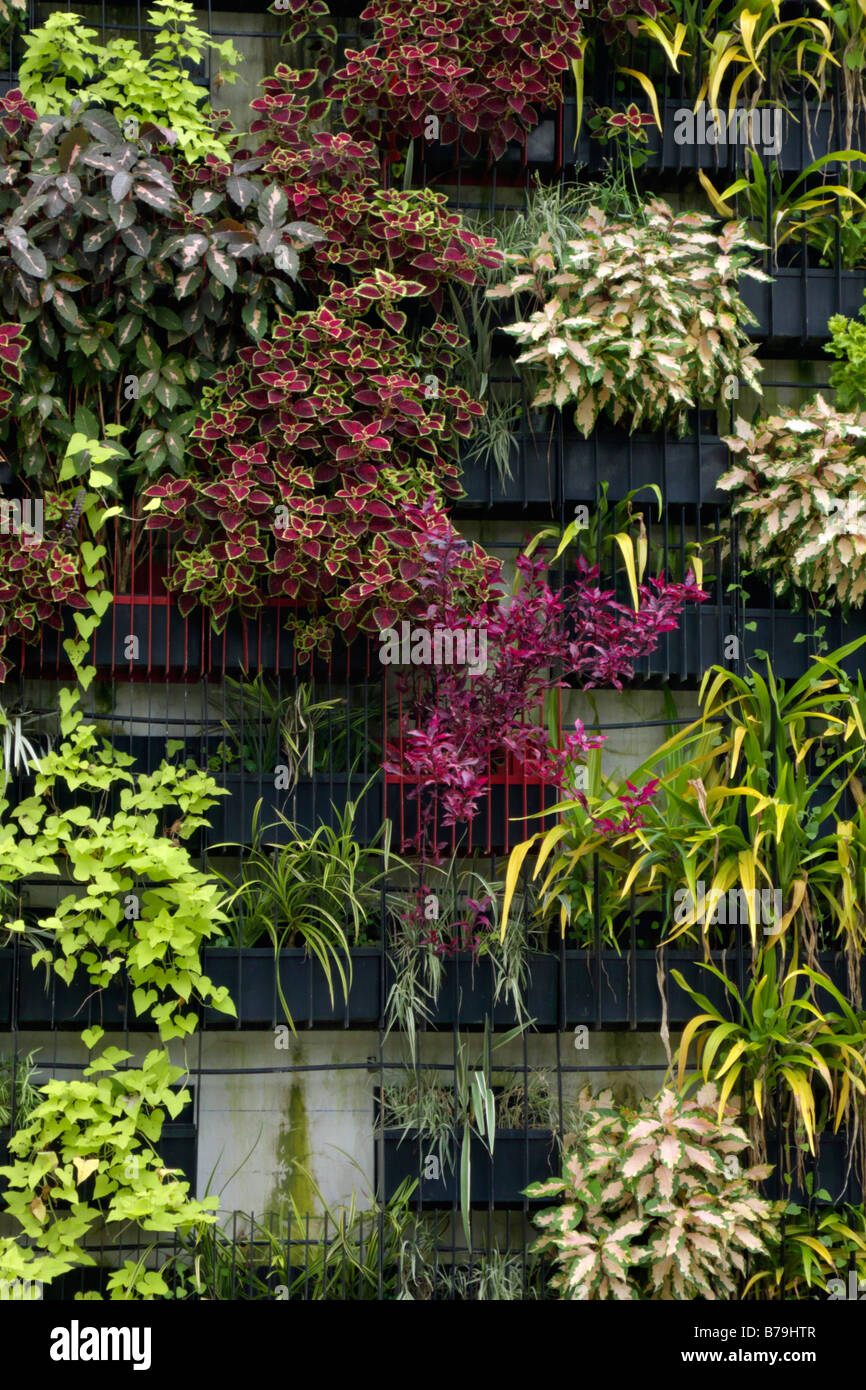 Living wall systems hi-res stock photography and images - Alamy