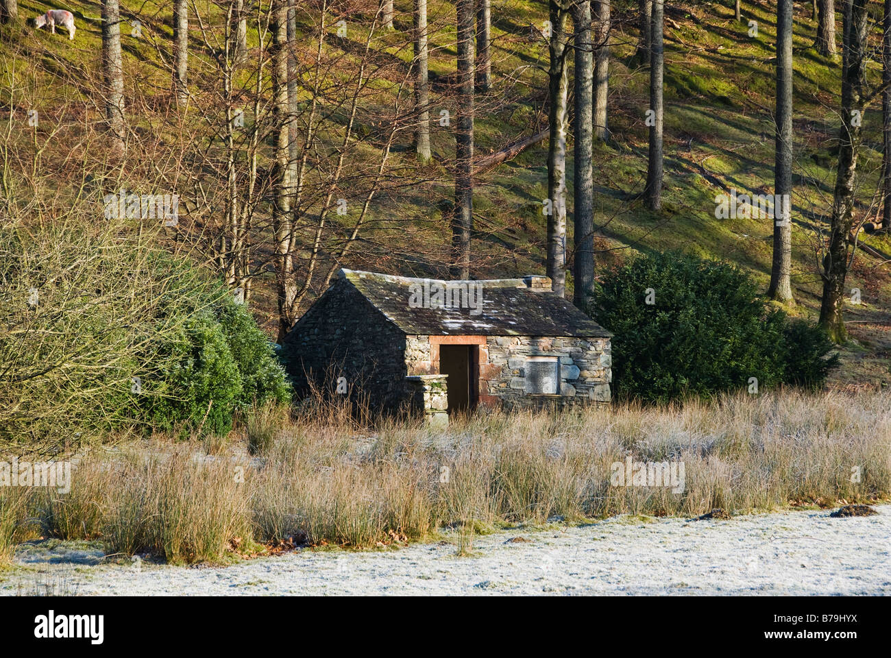 Hassness hi-res stock photography and images - Alamy