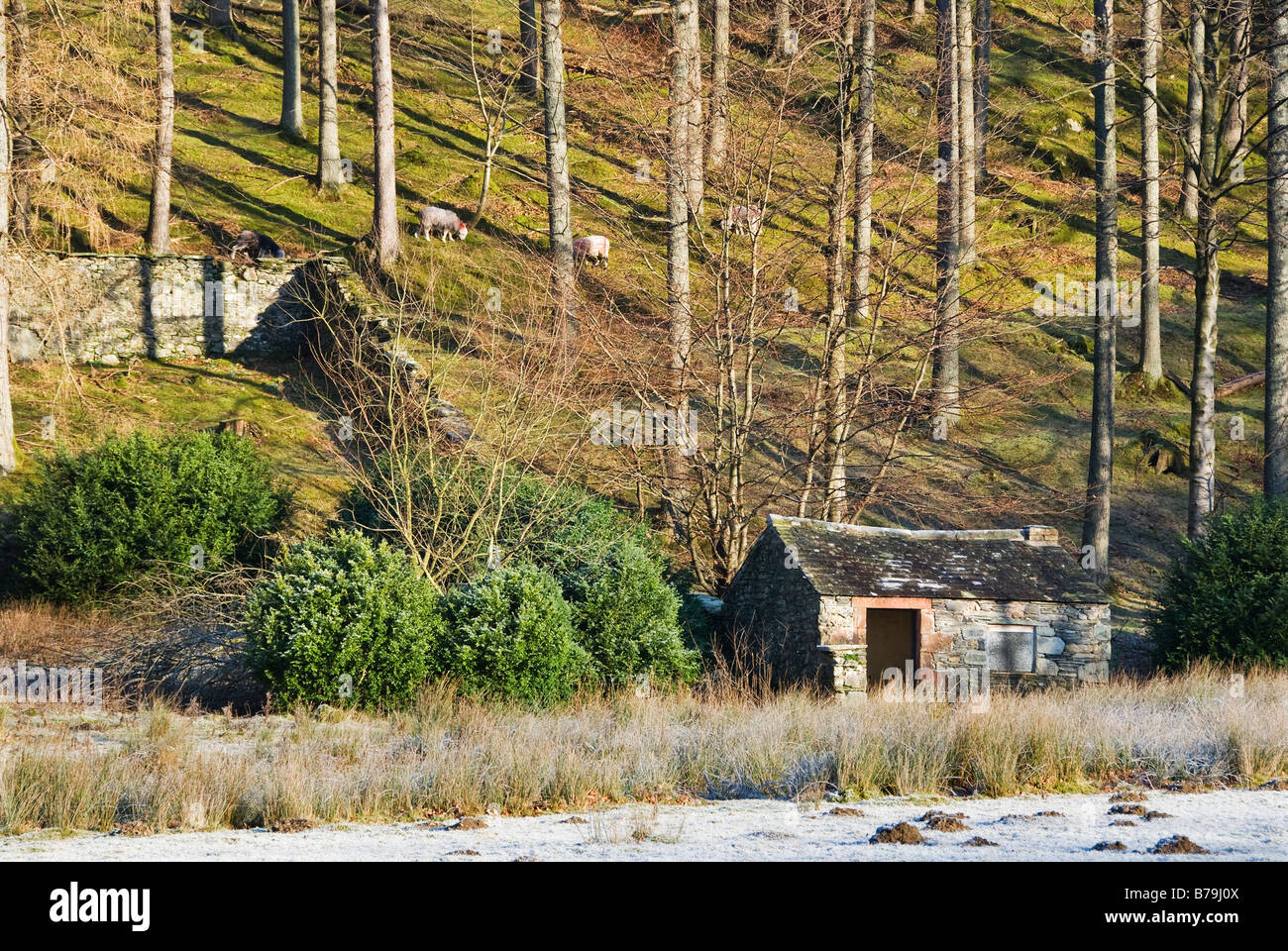 Hassness hi-res stock photography and images - Alamy